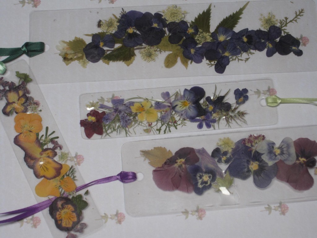 Collect Your Thoughts - Collect Pansies - FuchsiaWoman Philosophy
